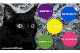 Cat Tracker- Personality Study - SciStarter