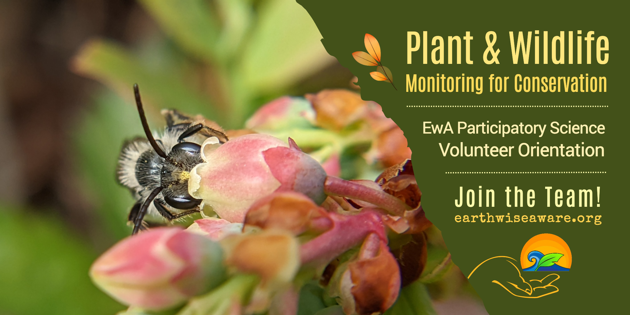 Introduction To Plant Wildlife Monitoring For Conservation SciStarter introduction-to-plant-wildlife-monitoring-for-conservation-scistarter